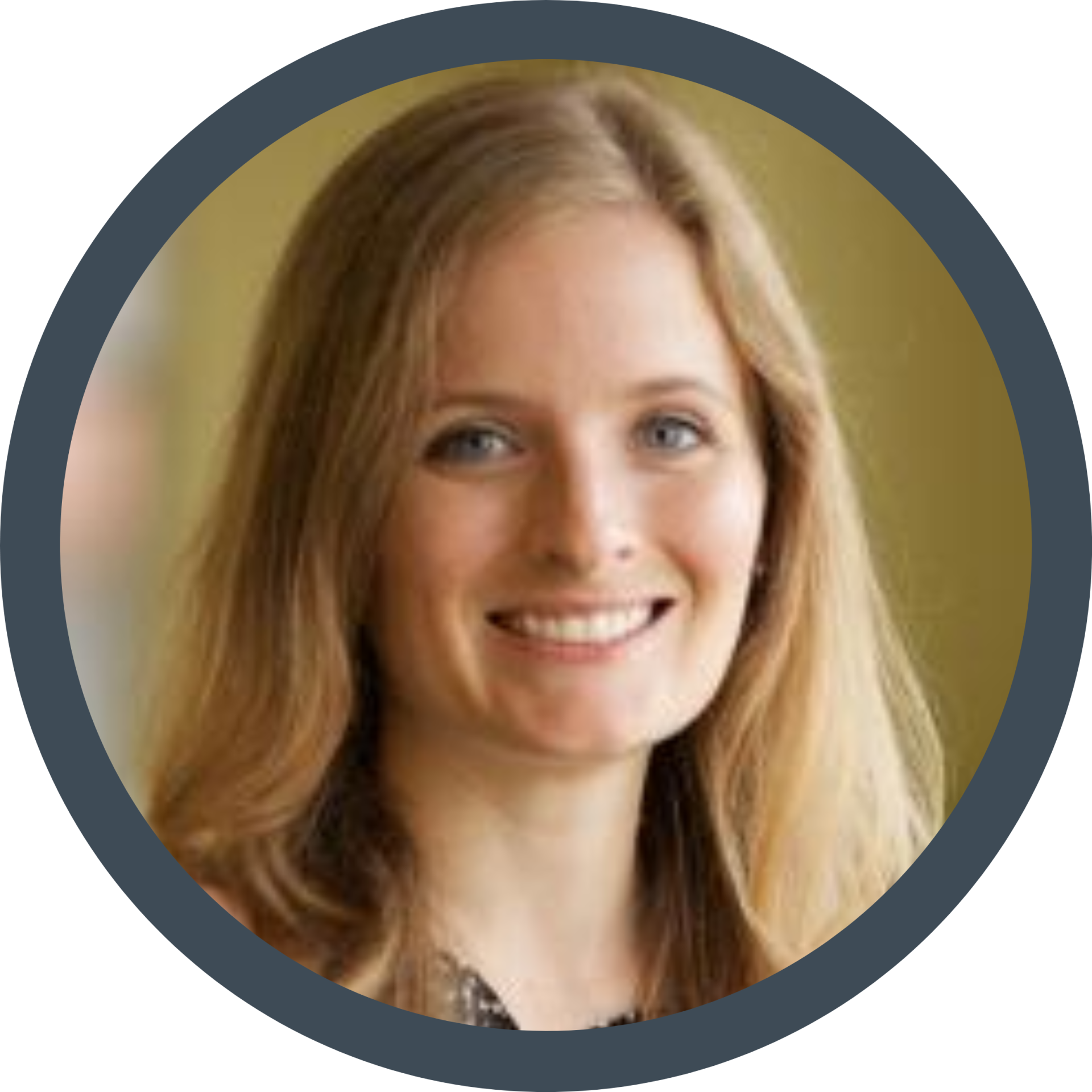 Global Workshop 2024 – Open-Earth-Monitor project